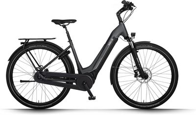 Dutch ID Infinity 50 A8 grijs / dames / 48 / 2021 Elektrische fiets ...